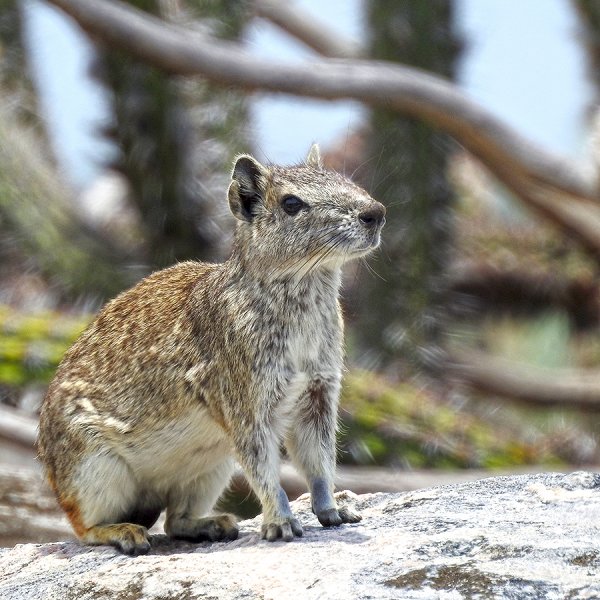 Angelo Pinto - Fotografia